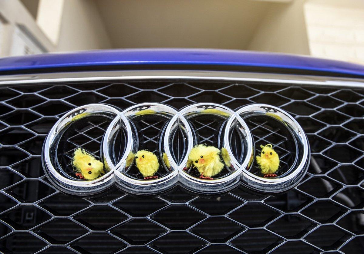 Happy Easter - Audi Club Lounge / General Chat - Audi Owners Club (UK)